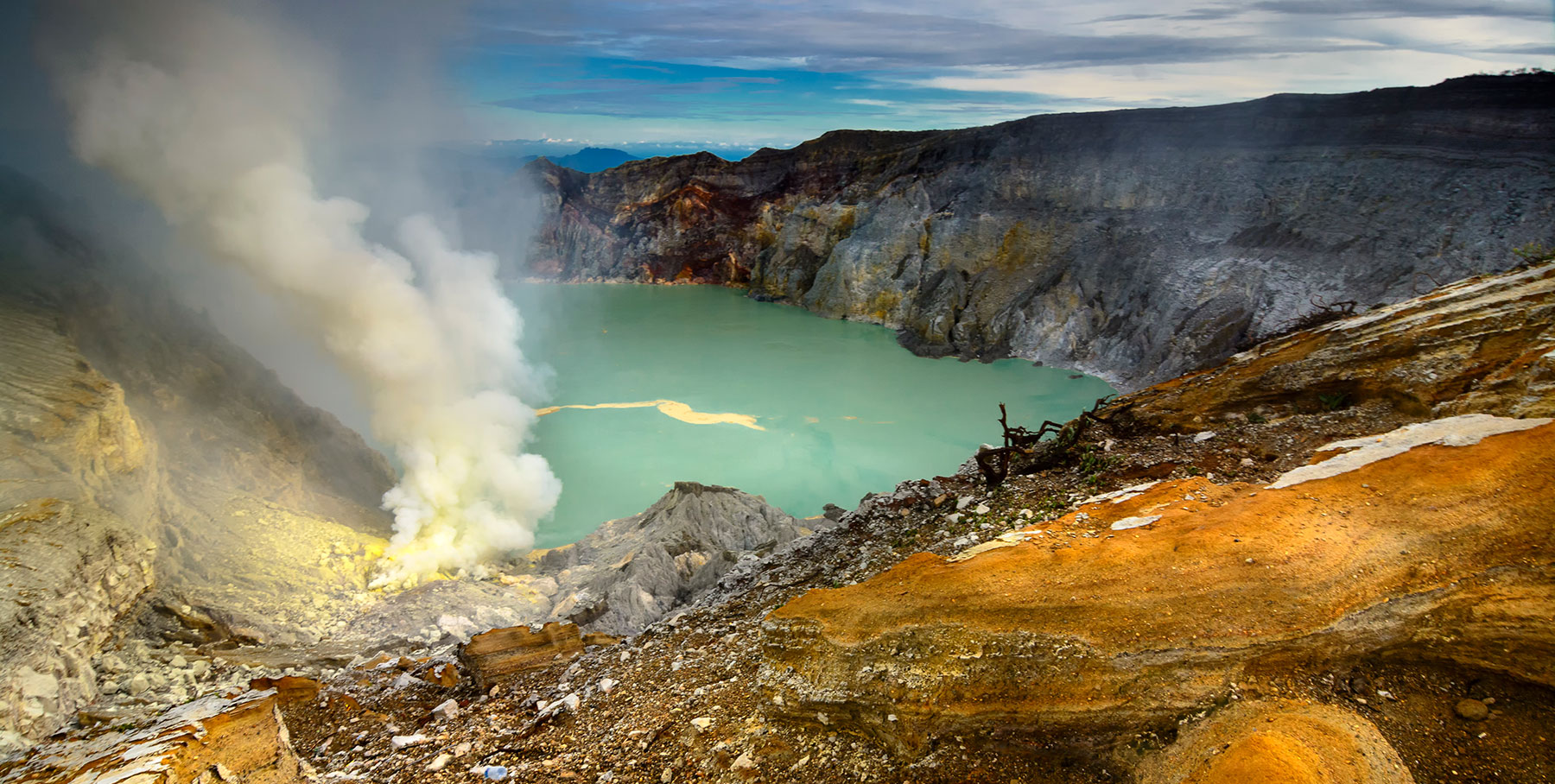 Earliest Life Form On Earth The Earth Images Revimage Org earliest-life-form-on-earth-the-earth-images-revimage-org