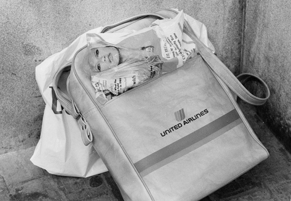 Michelle Povinelli: Portfolio