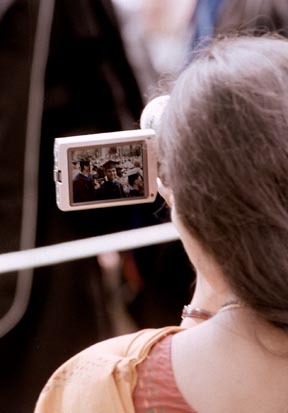 Michelle Povinelli: Portfolio