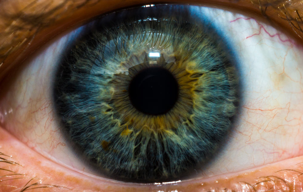 Spotlight: Modeling vision | MIT - Massachusetts Institute of Technology
