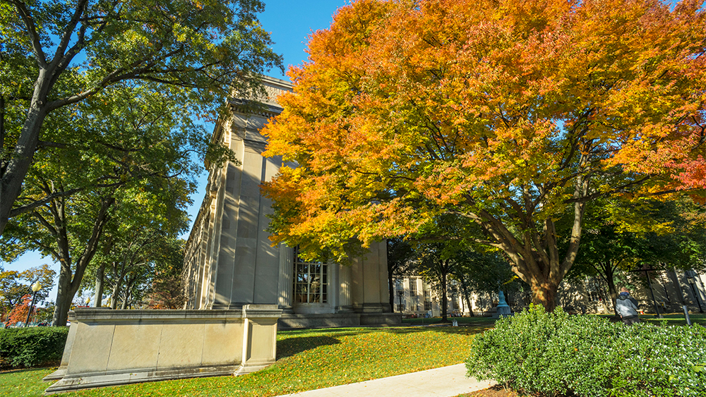 Spotlight: MIT marks Indigenous Peoples Day | MIT - Massachusetts ...