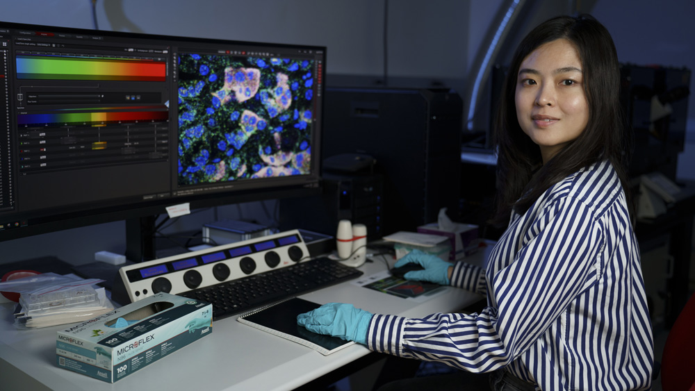 MIT - Massachusetts Institute of Technology