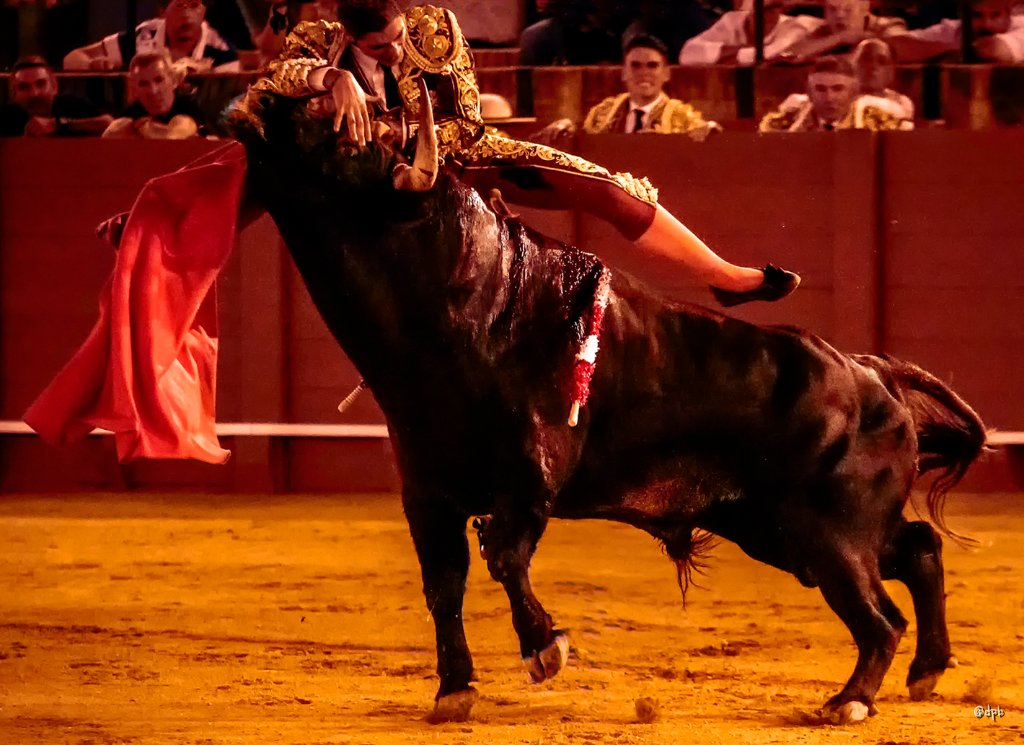 Bullfighting