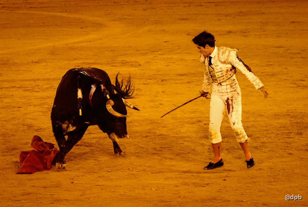 Bullfighting