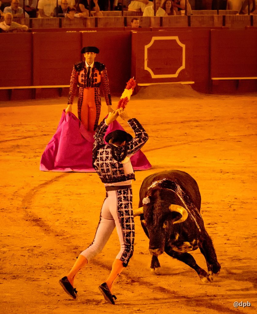 Bullfighting