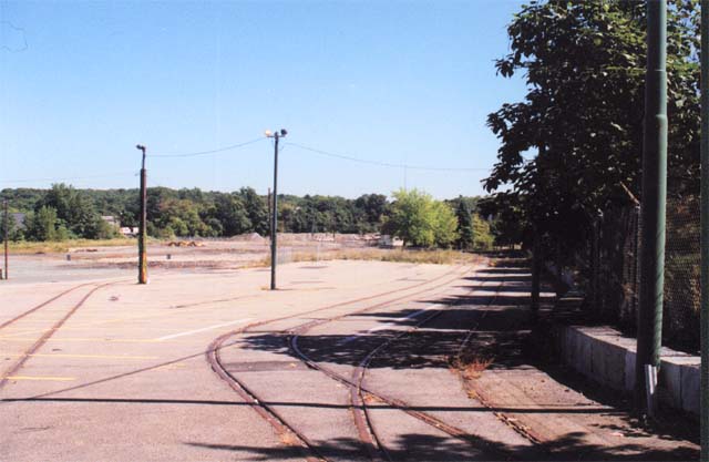 Arborway Photo Essay