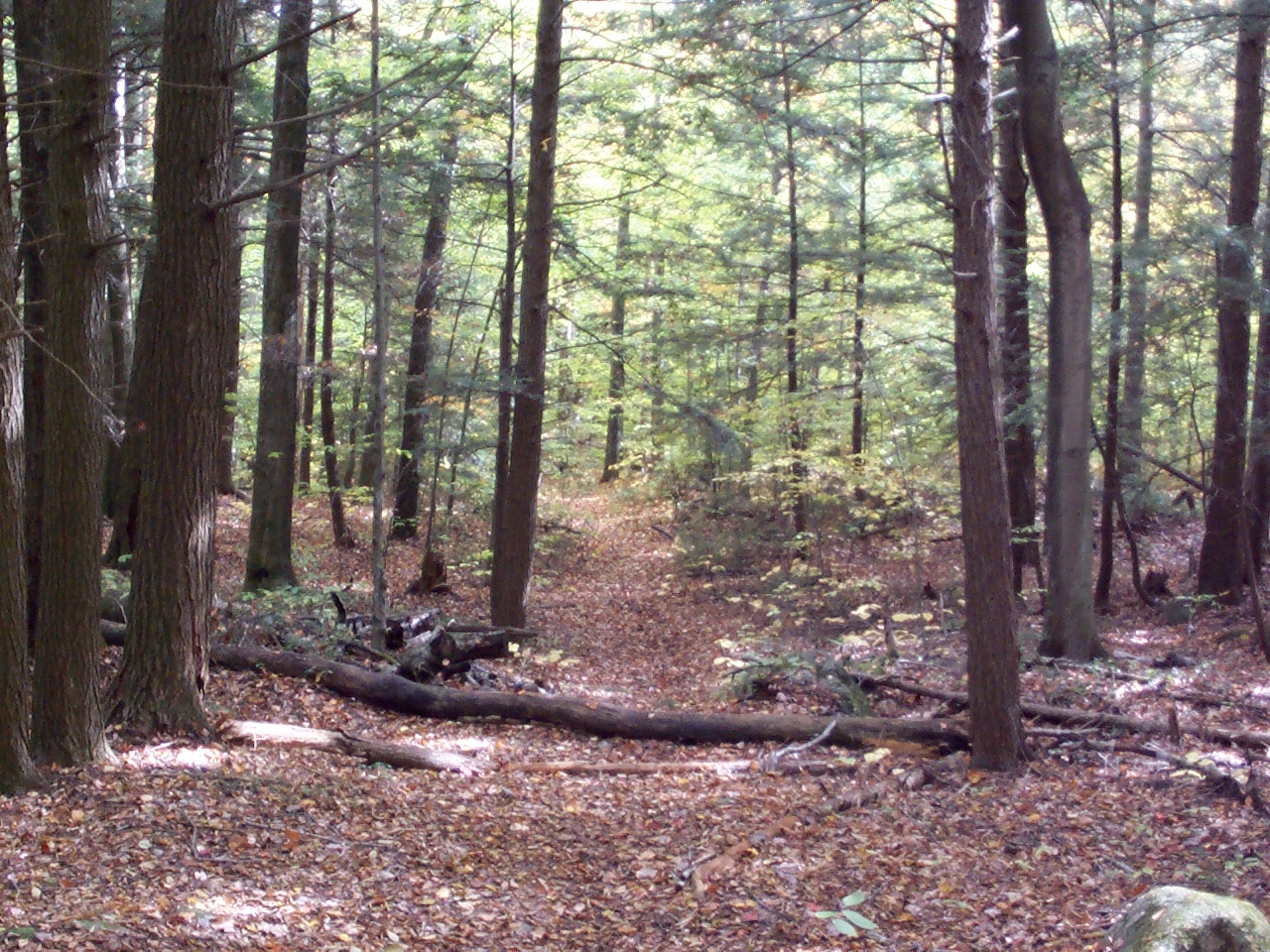 Granville State Forest