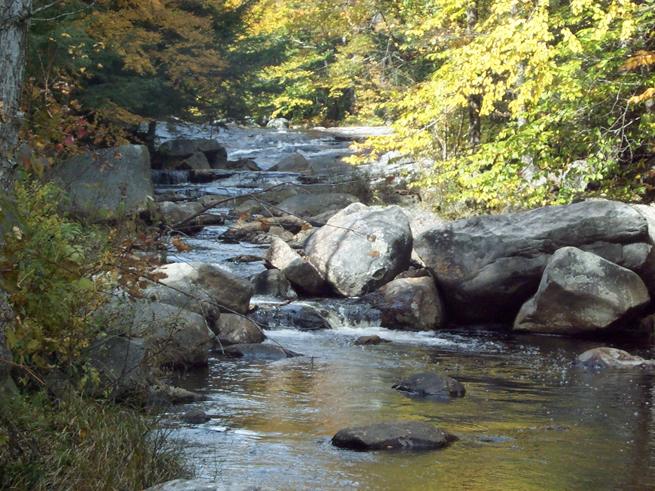 Granville State Forest