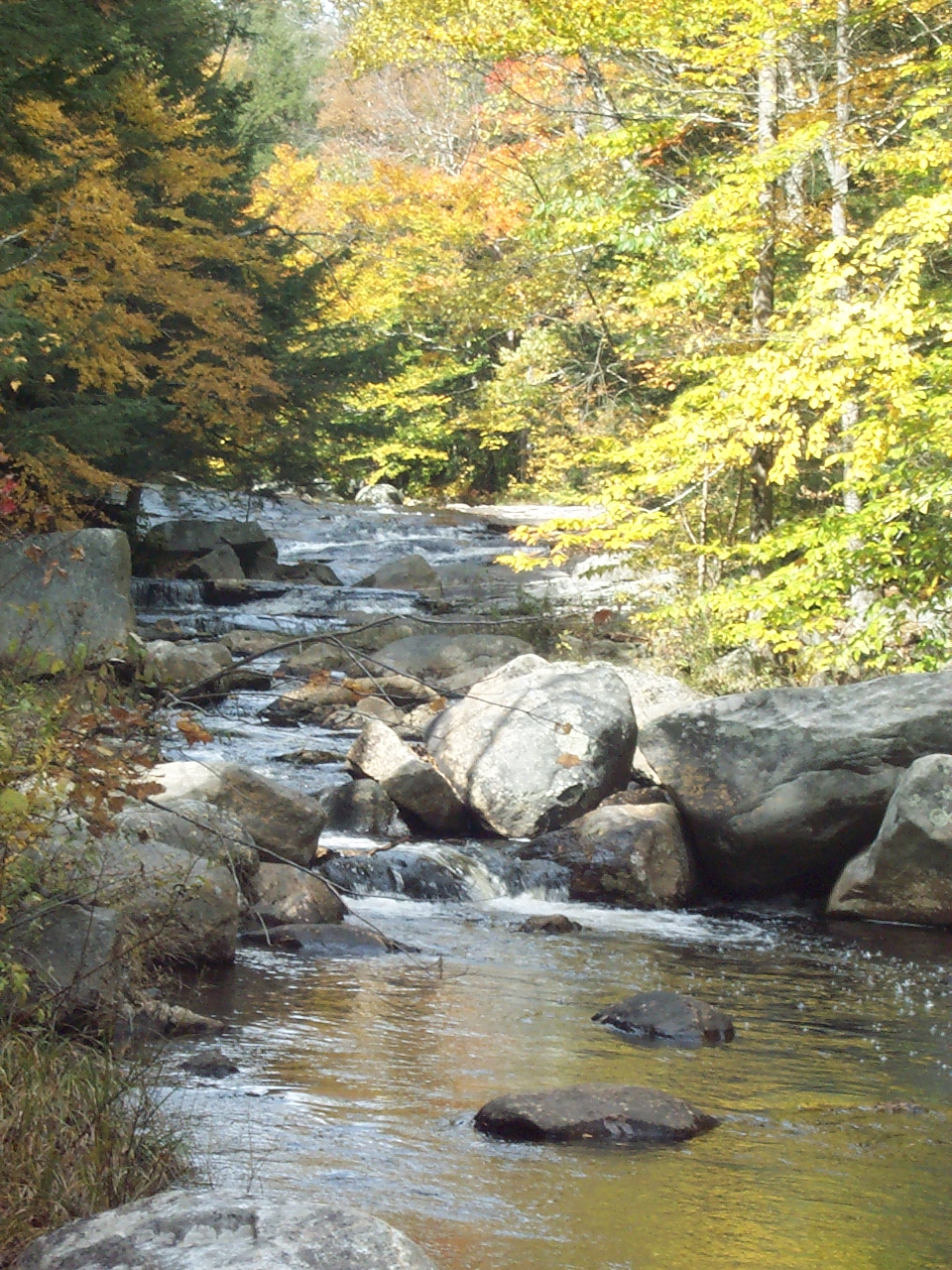 Granville State Forest